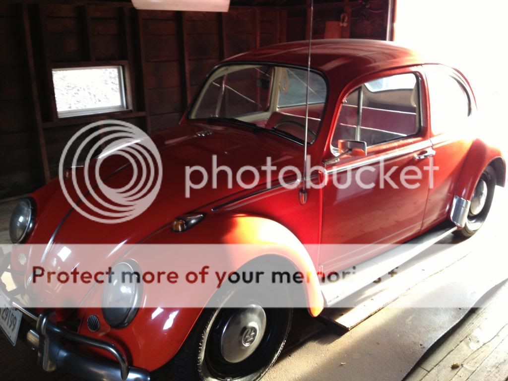 66 Beetle F/S ONLY 88,000 Original miles! $5500 OBO | VW Vortex ...
