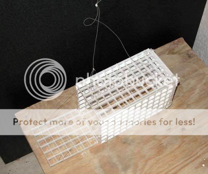 Homemade Fish Trap For Aquarium at Nilsa Sutton blog