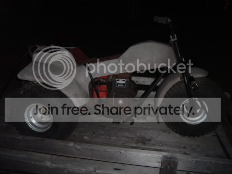 Trikes with name and picture. | Page 8 | OldMiniBikes.com