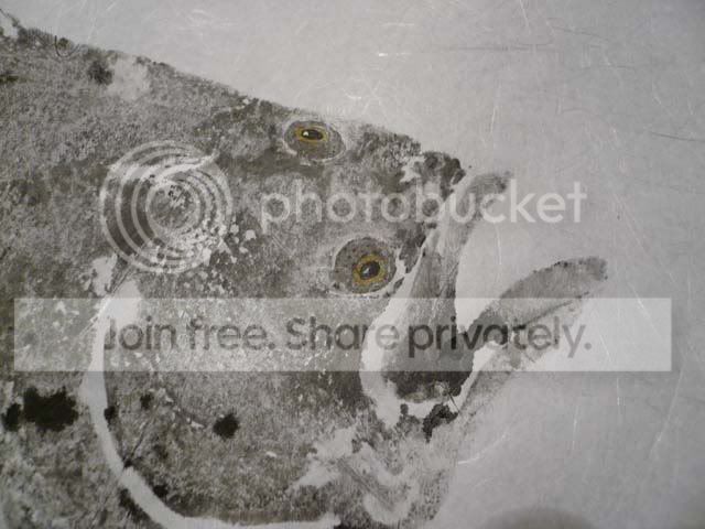 Gyotaku (fish printing) Seahunter style