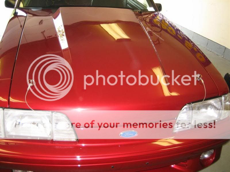 Electric Currant Red Vs. Wild Strawberry Red | Ford Mustang Forums